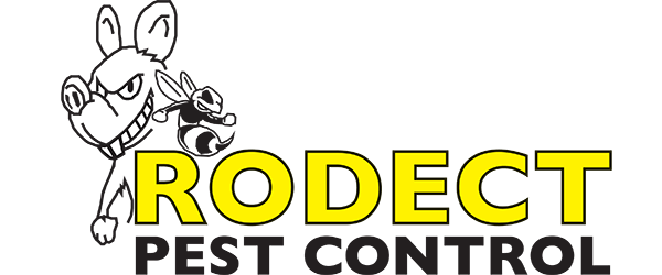 Rodect Pest Control | Sawbridgeworth, Harlow, Romford